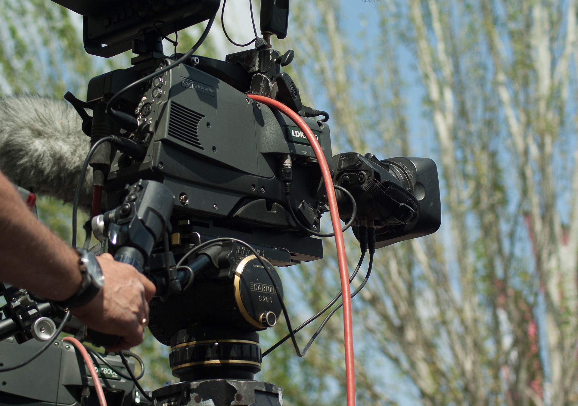 Two movie directors we can get your scripts to NOW... - WriteMovies